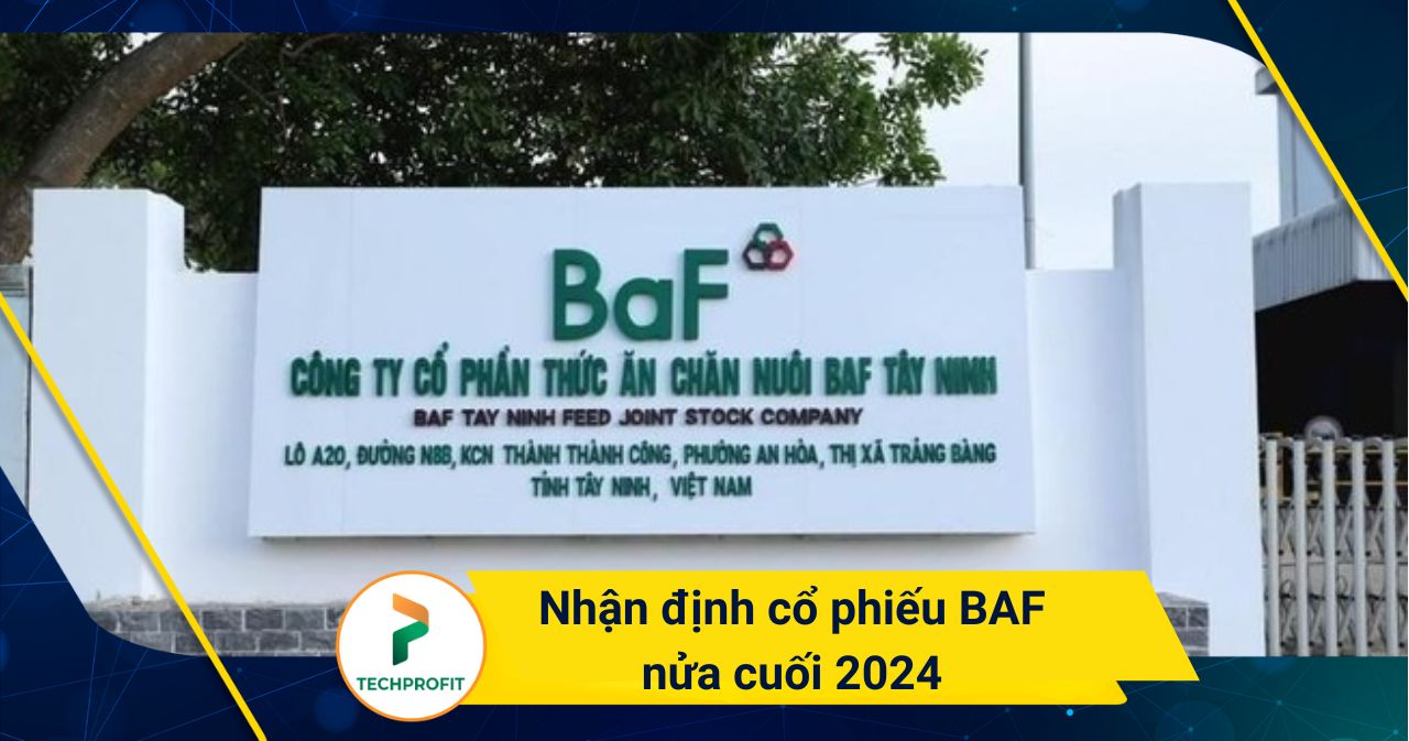 Nhận định cổ phiếu BAF nửa cuối 2024: Đánh giá cơ hội và rủi ro đầu tư
